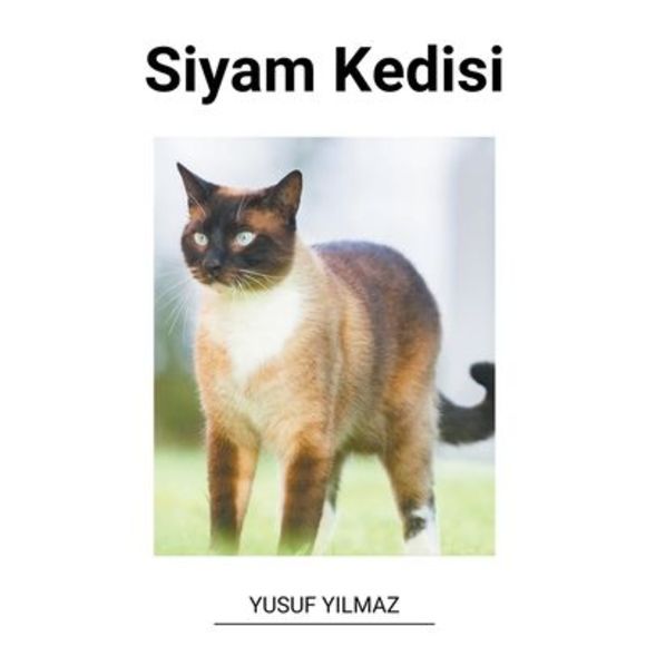 Yusuf Yilmaz | Other | Siyam Kedisi Turkish Edition Paperback Yilmaz ...
